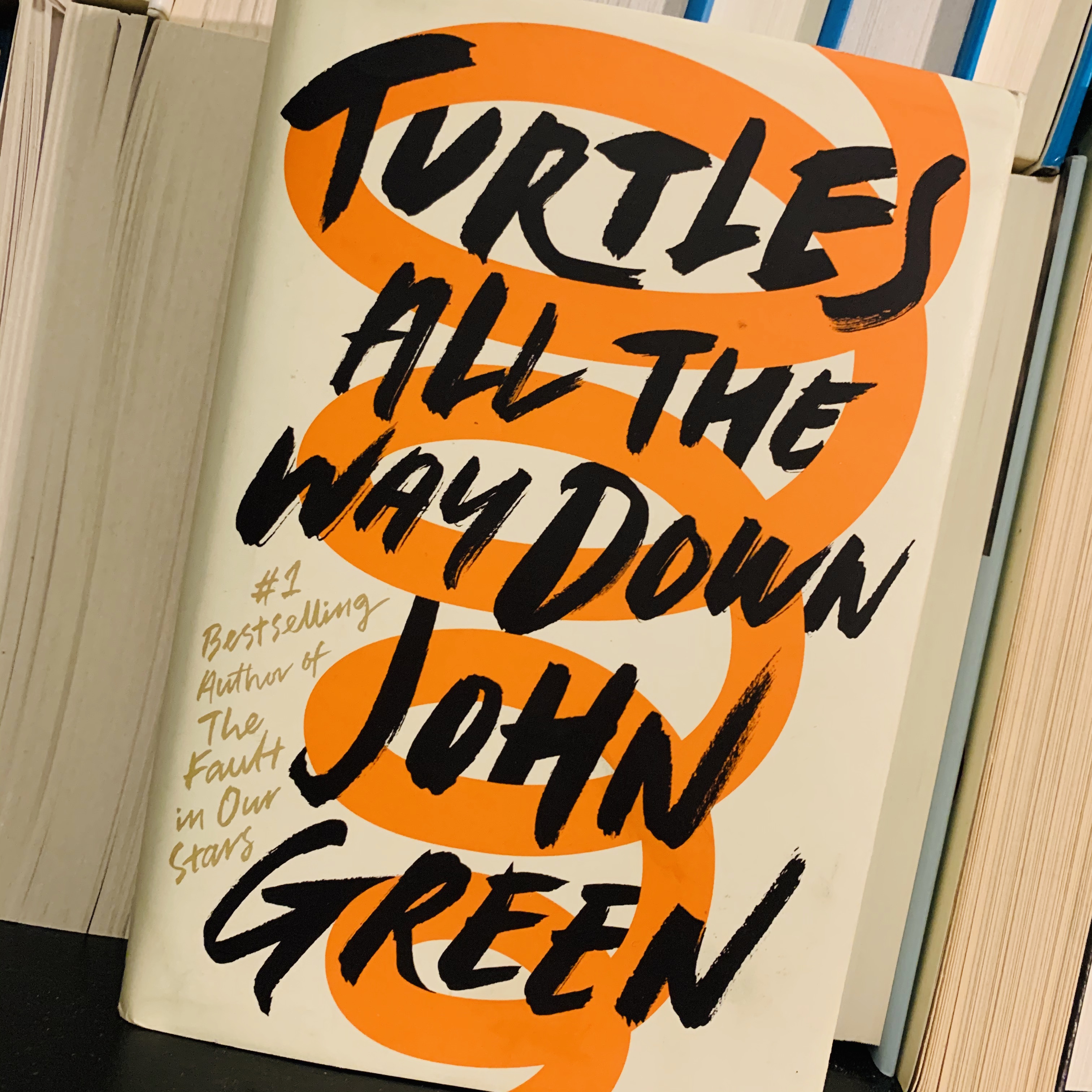 Turtles All The Way Down: John Green’s Next Best Book | Book Review ...